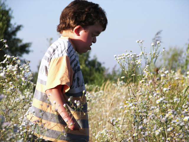 Kinderkrankenhaus Wilhemstift: Sprechstunde für Hand- und ...
